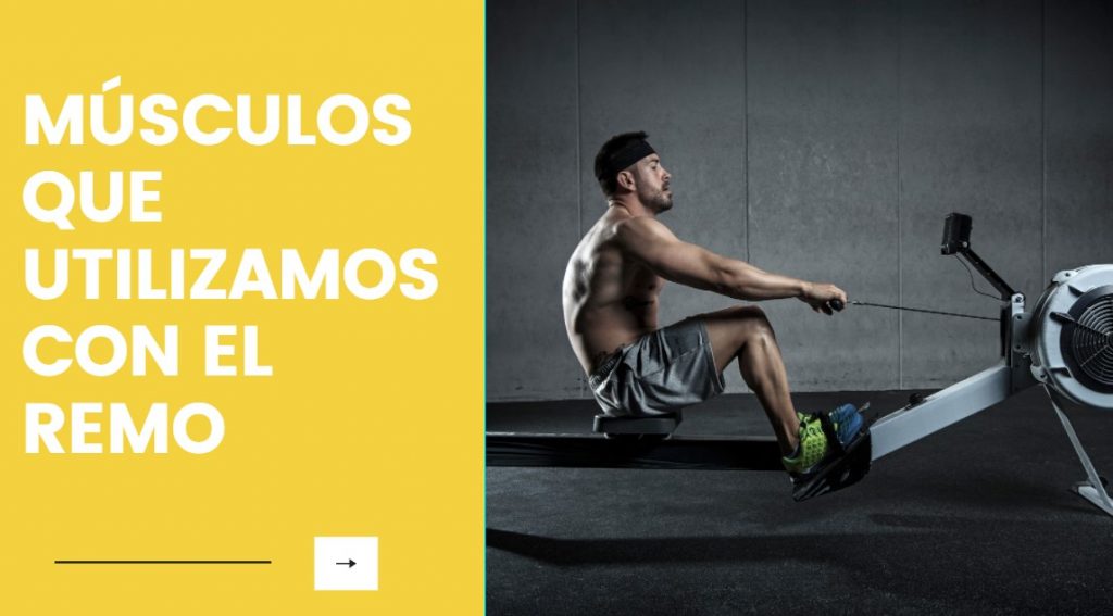 Músculos que Utilizamos cuando hacemos Remo